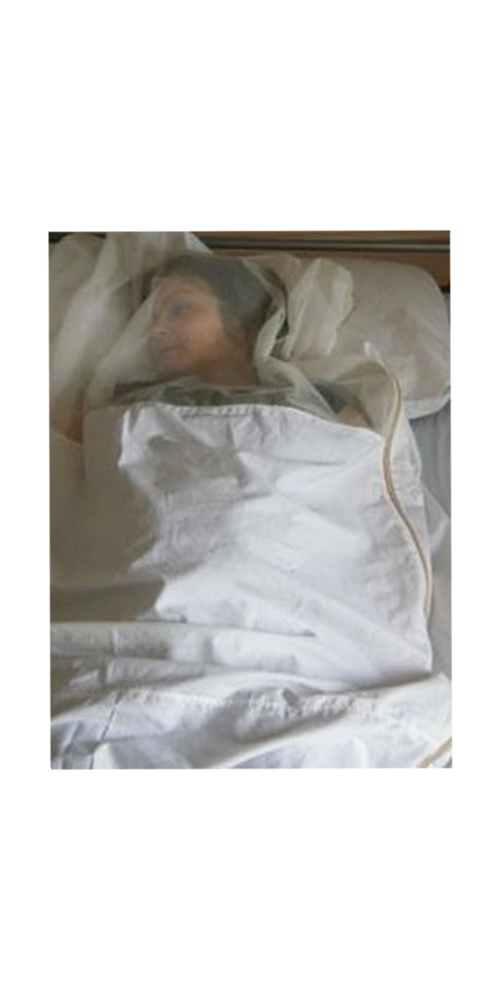 Blocbag Original Swiss Shield EMF Sleeping Bag | EMF Protection